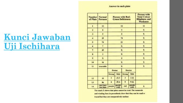 Pemeriksaan Ketajaman Penglihatan dan Uji Ischihara.pdf Pemeriksaan Ketajaman Penglihatan dan Uji Ischihara.pdf