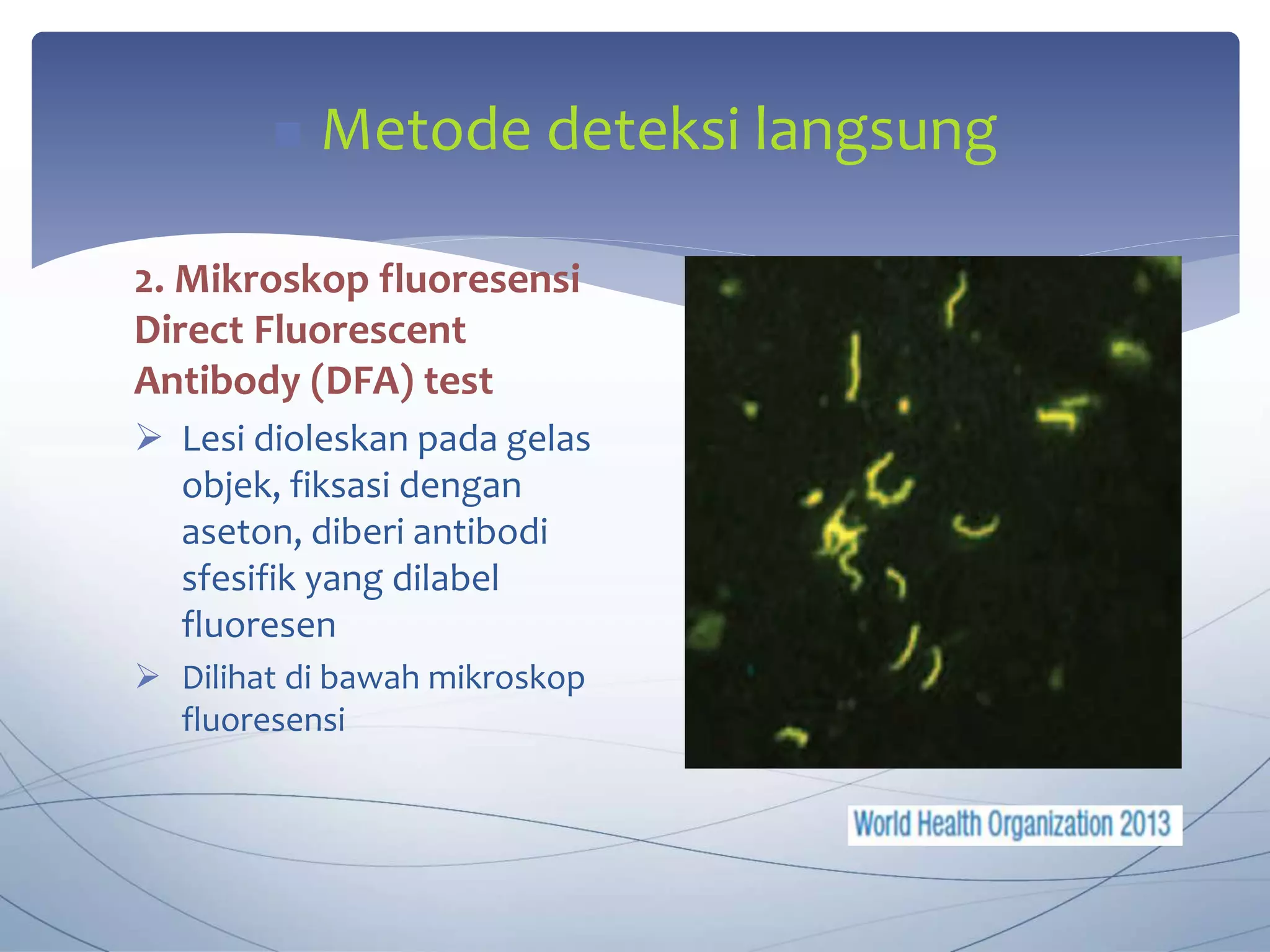 Pemeriksaan laboratorium sifilis (1) (1).pptx