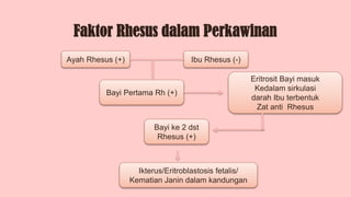 pemeriksaan labor kehamilan.pptx kebidanan | PPTX