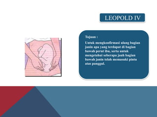 Pemeriksaan leopold | PPTX