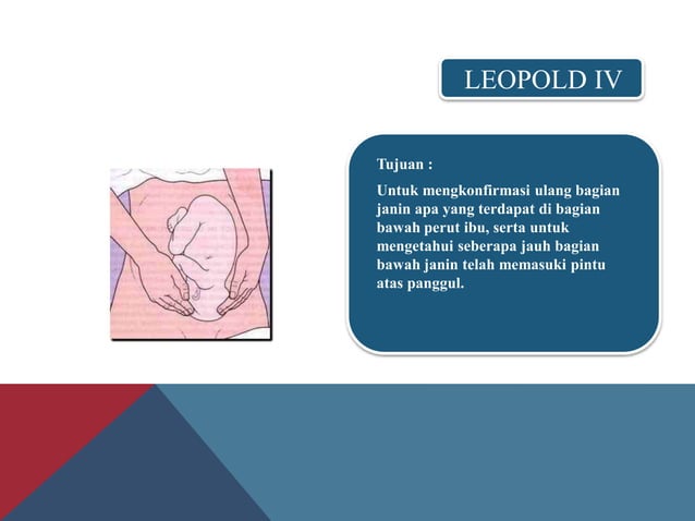 Pemeriksaan leopold | PPTX