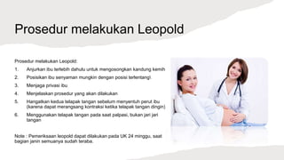 Pemeriksaan Leopold.pptx