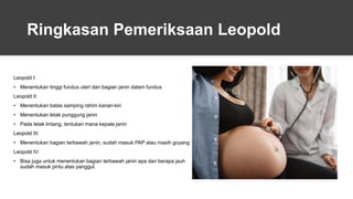 Pemeriksaan Leopold.pptx