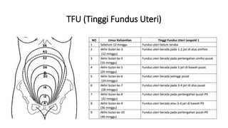 Pemeriksaan Leopold.pptx