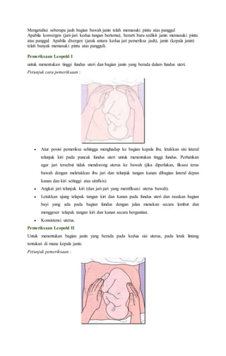 Pemeriksaan leopold i | DOTX