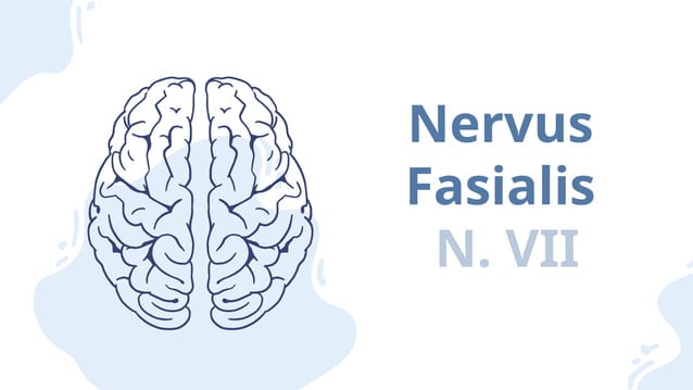 Pemeriksaan Nervus Cranialis - Chandra.pptx