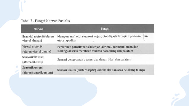 Pemeriksaan Nervus Cranialis - Chandra.pptx