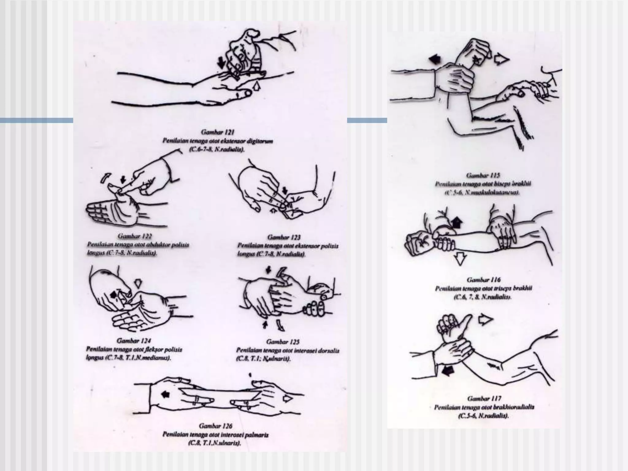 Pemeriksaan Neurologis_1.ppt