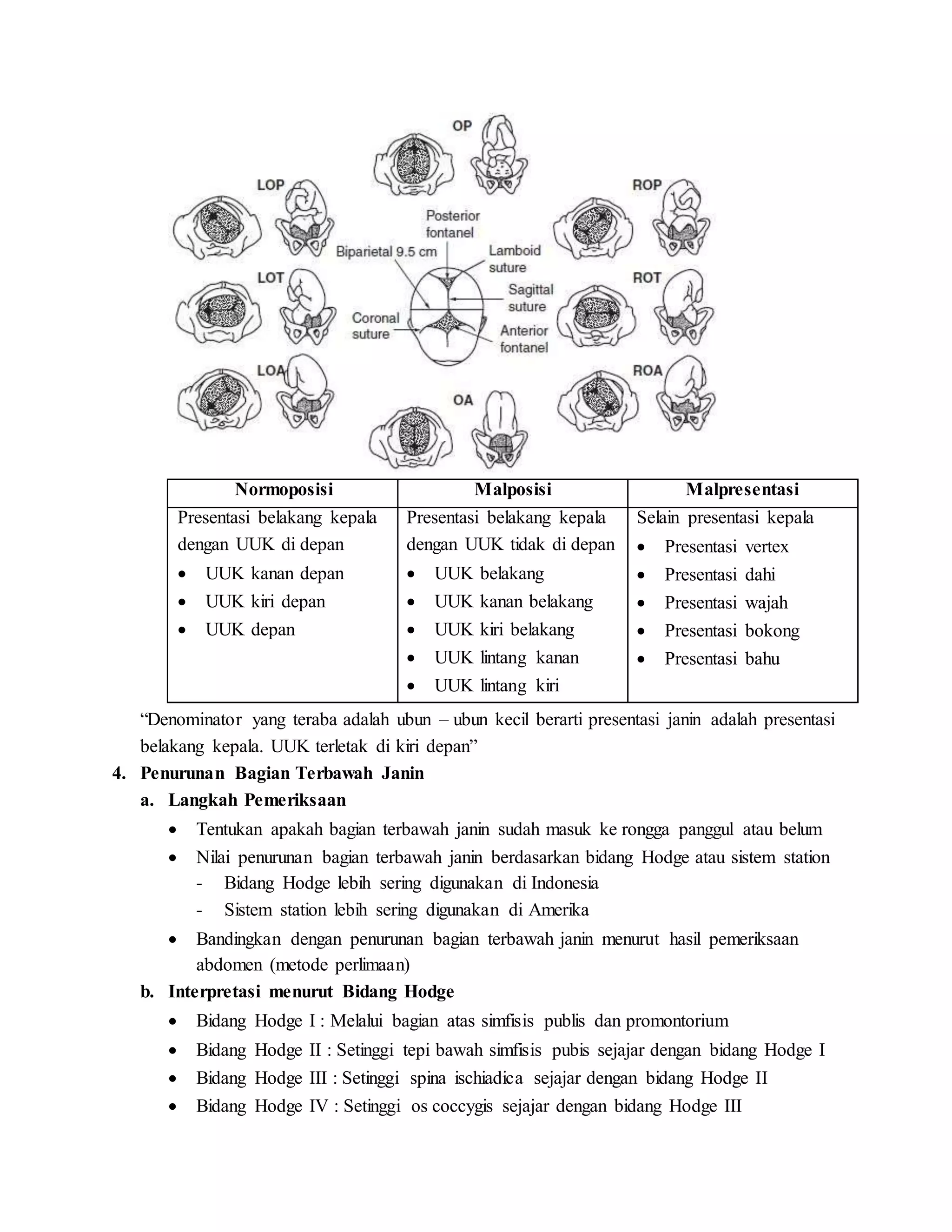 Pemeriksaan Obstetri | DOCX