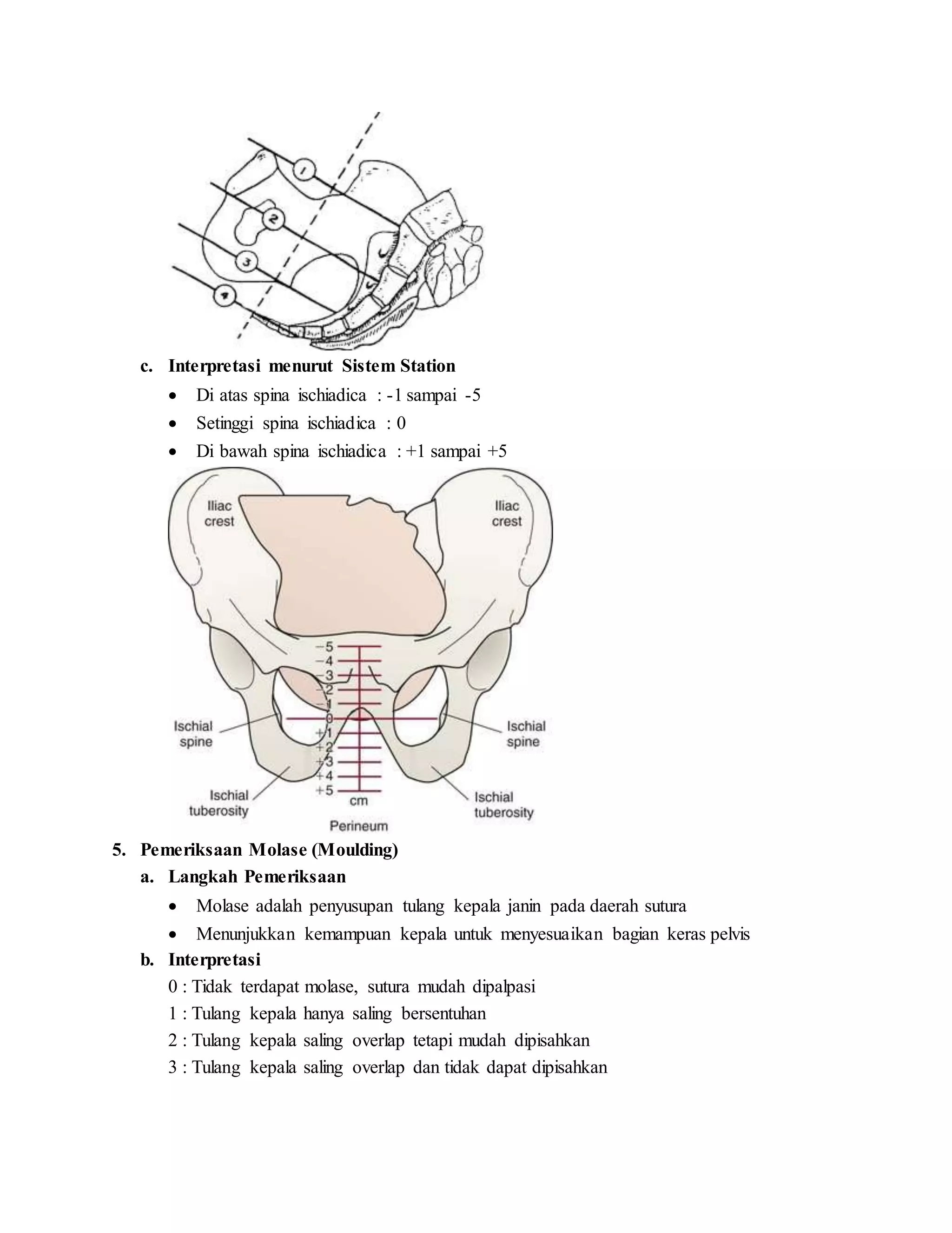 Pemeriksaan Obstetri | DOCX