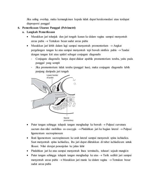 Pemeriksaan Obstetri | DOCX