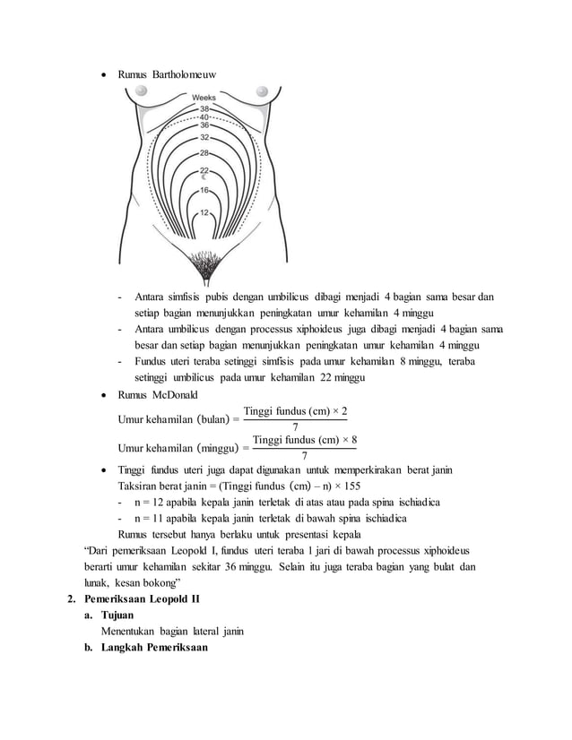 Pemeriksaan Obstetri | DOCX