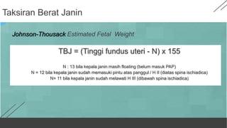 pemeriksaan obstetri giughgfyuignghfthdchtgtchgc.ppt