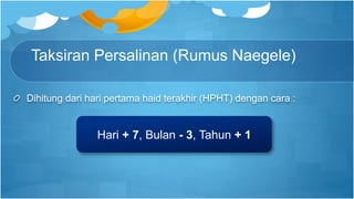 pemeriksaan obstetri giughgfyuignghfthdchtgtchgc.ppt