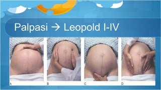 pemeriksaan obstetri giughgfyuignghfthdchtgtchgc.ppt