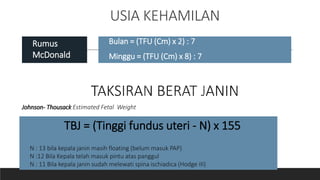 PEMERIKSAAN OBSTETRI DASAR.pptx