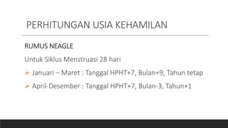 PEMERIKSAAN OBSTETRI DASAR.pptx