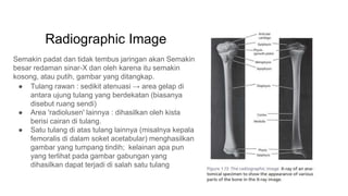 Pemeriksaan Orthopaedi - kel 5.pptx