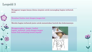 Pemeriksaan Palpasi leopold Pada Ibu Hamil | PPTX