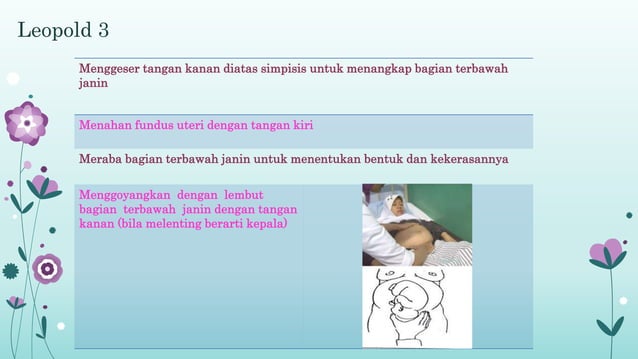 Pemeriksaan Palpasi leopold Pada Ibu Hamil | PPTX