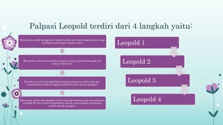 Pemeriksaan Palpasi leopold Pada Ibu Hamil | PPTX