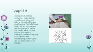 Pemeriksaan Palpasi leopold Pada Ibu Hamil | PPTX