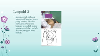 Pemeriksaan Palpasi leopold Pada Ibu Hamil | PPTX