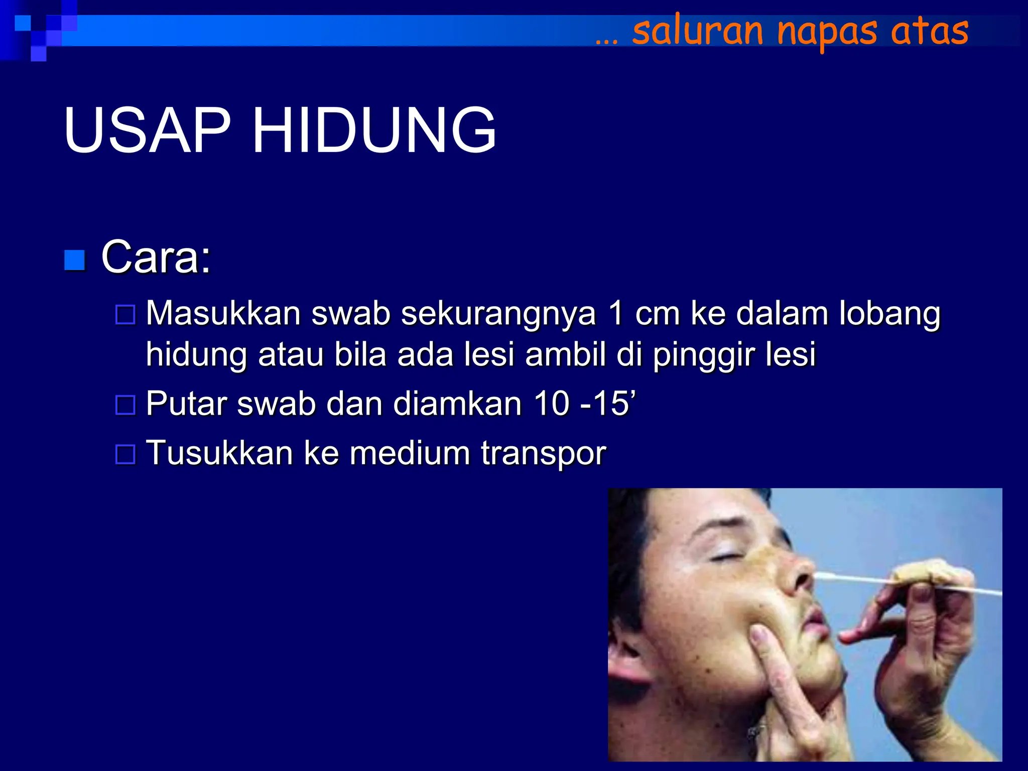 Pemeriksaan Saluran Nafas 2024.ppt