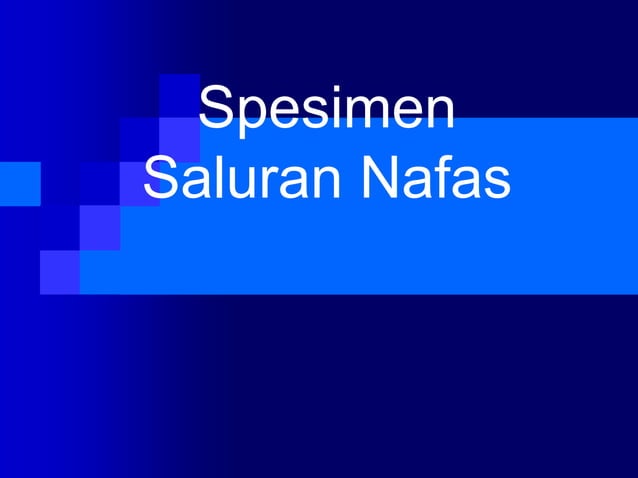 Pemeriksaan Saluran Nafas 2024.ppt