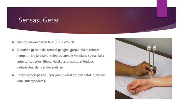 PEMERIKSAAN SENSORIK.pptx