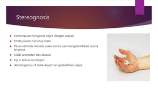 PEMERIKSAAN SENSORIK.pptx