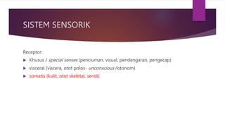 PEMERIKSAAN SENSORIK.pptx