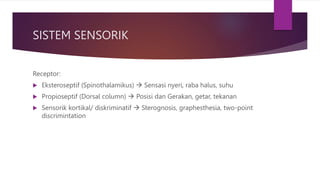 PEMERIKSAAN SENSORIK.pptx