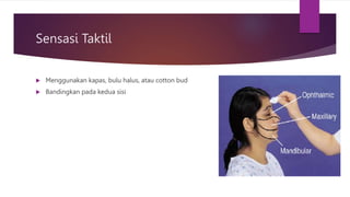 PEMERIKSAAN SENSORIK.pptx