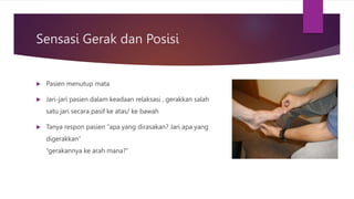 PEMERIKSAAN SENSORIK.pptx