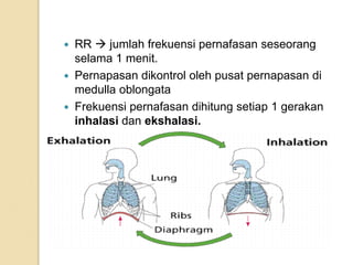 ..PEMERIKSAAN TANDA-TANDA VITAL TM 1.ppt