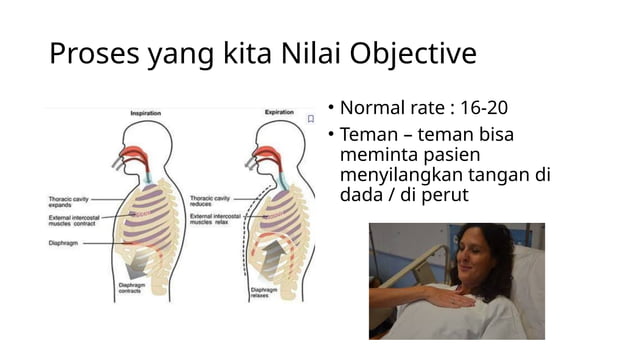 Pemeriksaan Tanda - tanda vital pada stase pre klinis | PPT