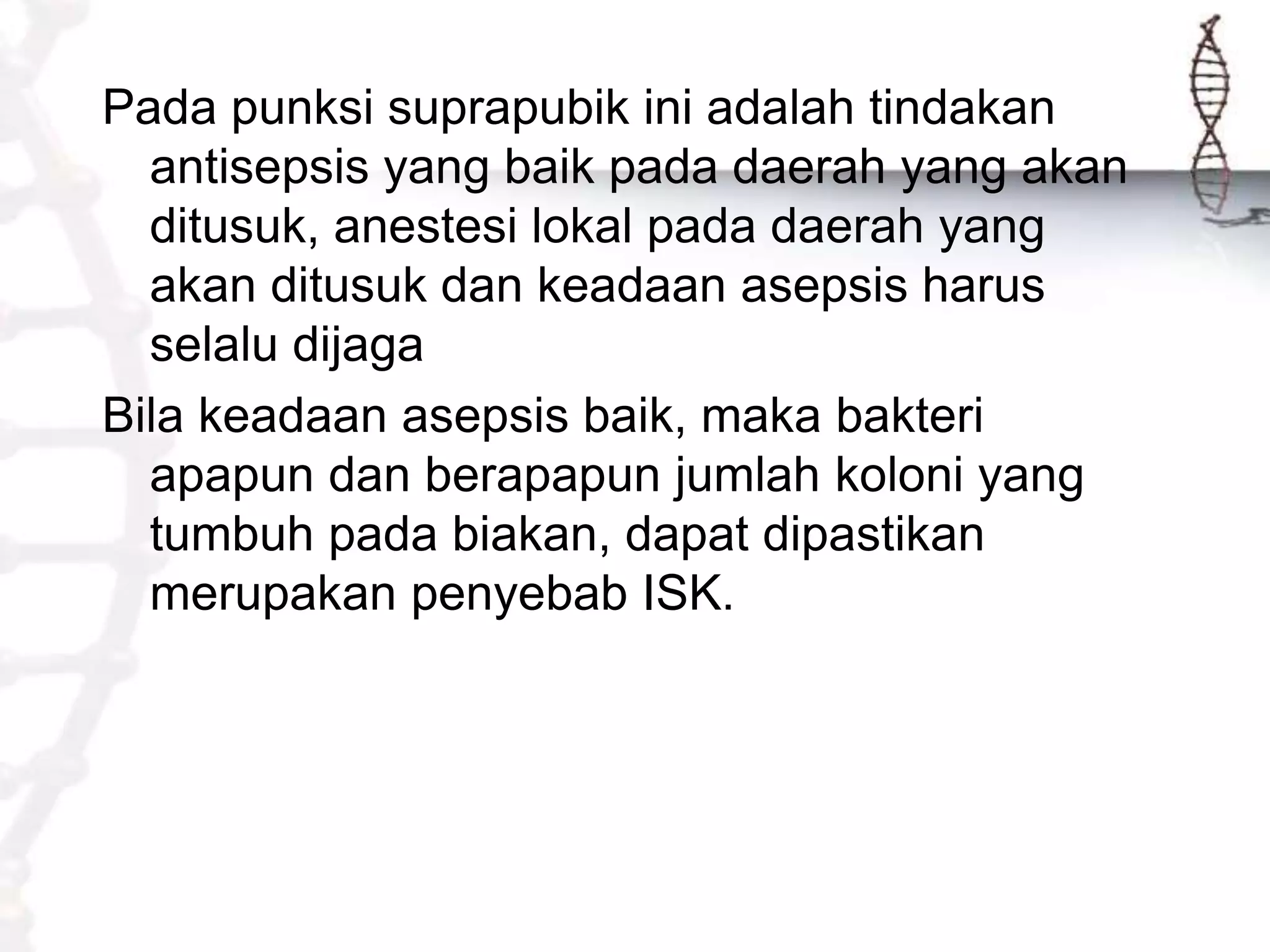 ppt persentaion Pemeriksaan urine | PPTX