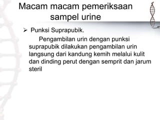 ppt persentaion Pemeriksaan urine | PPTX