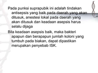 ppt persentaion Pemeriksaan urine | PPTX