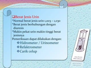 Pemeriksaan urin rutin | PPTX
