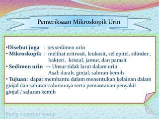 Pemeriksaan urin rutin | PPTX