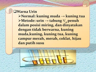 Pemeriksaan urin rutin | PPTX