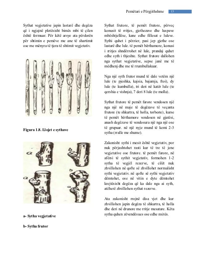 Pemetari e pergjithshme (2)