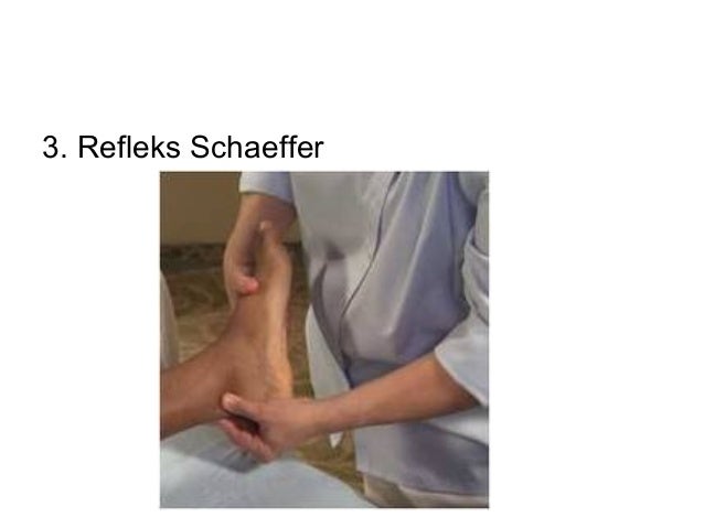 Pemfis neurologi@dons