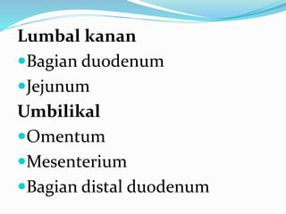 Pemfispencernaan | PPTX