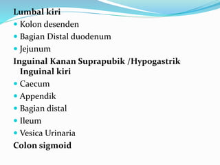 Pemfispencernaan | PPT | Free Download