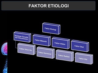 Anensefali (embriologi) | PPTX