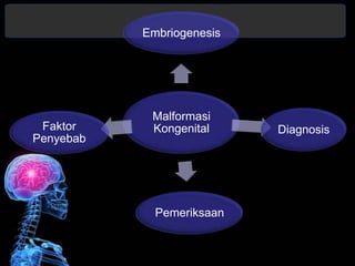 Anensefali (embriologi) | PPTX