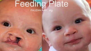 Feeding plate review | PPT
